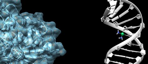 Biophysics And Biochemistry — Dipc
