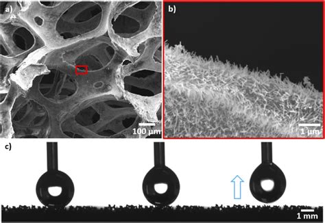 Detailed Observation Of Sponge And Its Wettability A And B SEM Download Scientific Diagram