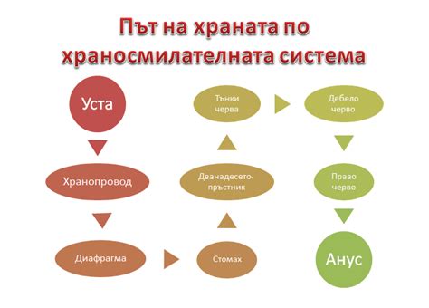 Блог на Петя Газдова
