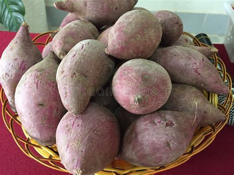 Root Vegetable Potato Produce Vegetable Picture Image 128613007