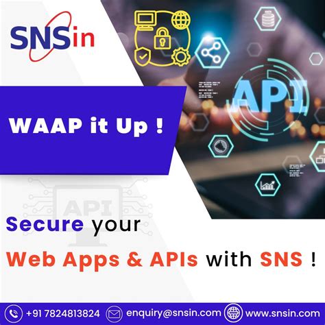 Webappsecurity Apisecurity Cybersecurity Secureyourapps Sns Secure Network Solutions
