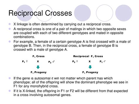 ppt sex linkage and pedigrees powerpoint presentation free download id 6012952