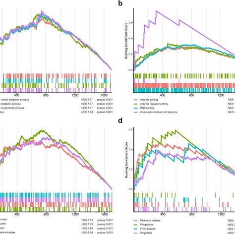 The Gsea Of Degs In The Gse62019 Dataset A Gsea Of The Top 4 Terms In Download Scientific