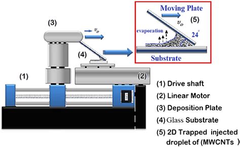 Schematic Of The Convective Self Assembly To Deposit Mwcnts Film On A Download Scientific