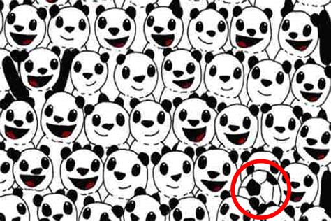 If You Spot The Soccer Ball Hidden Among The Pandas In 10 Seconds Or