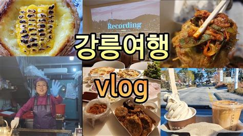 강릉여행vlog 먹으러간 여행 숙소 추천 그리다강릉중앙시장꾸옥갤러리밥스초당옥수수커피오징어순대나라아바이순대오징어