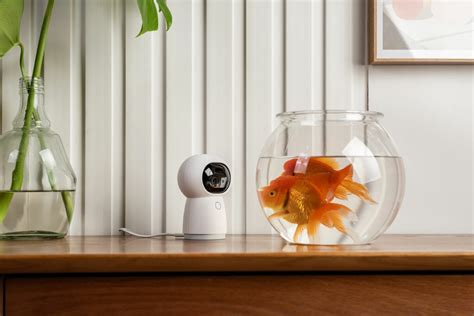 The Best Zigbee Smart Home Devices Aqara