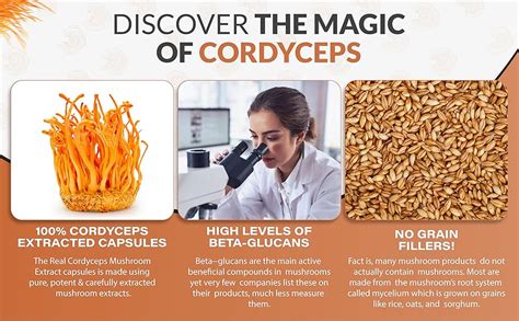 Bioyouth Cordyceps Organic Dietary Supplement Natural