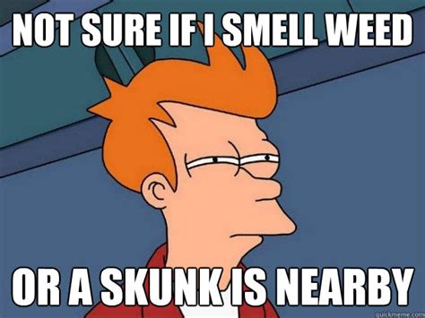 Not Sure If I Smell Weed Or A Skunk Is Nearby Futurama Fry Quickmeme
