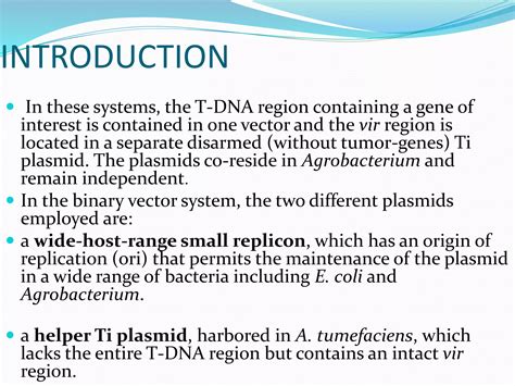 Binary Vector By Kk Sahu Sir Pptx