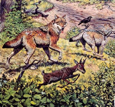Aenocyon By Mark Hallett Paleo Art Prehistoric Animals Dire Wolf