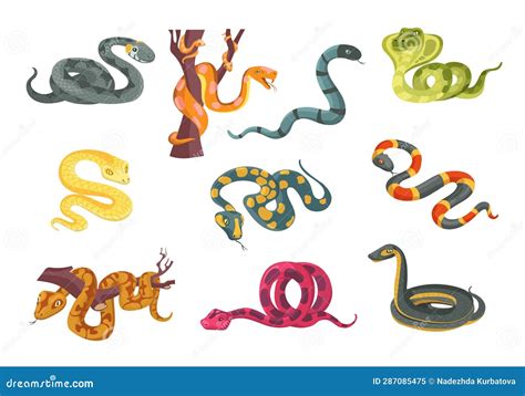 Colorful Poisonous Snakes Cartoon Suffocating Reptiles Creeping Colorful Poisonous Snakes Cartoon Suffocating Reptiles Creeping