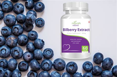 Bilberry Extract Healthy Eyes And Antioxidant Naturesvelvet