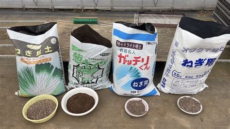 えネギ培土の肥料が2倍も違う4つの培土成長に差が出るか試します栽培実証試験 YouTube