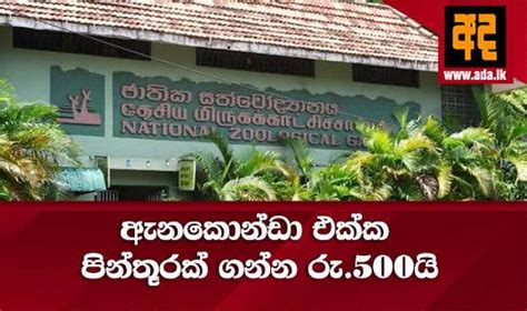 ඇනකොන්ඩා එක්ක පින්තූරක් ගන්න රු 500යි Ada Online
