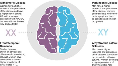 Do Microglial Sex Differences Contribute To Sex Differences In