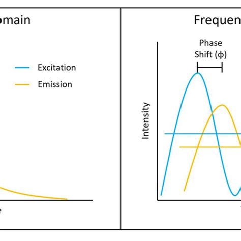 Depiction Of Typical Time Domain Data Left And Frequency Domain