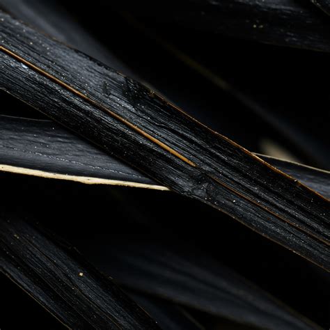 How Does Fabric Type Impact Microplastic Release → Question