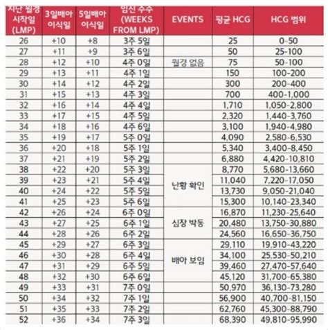 임신준비 시험관 1차 성공 3일배아 신선이식 후 피검결과 착상혈 네이버 블로그