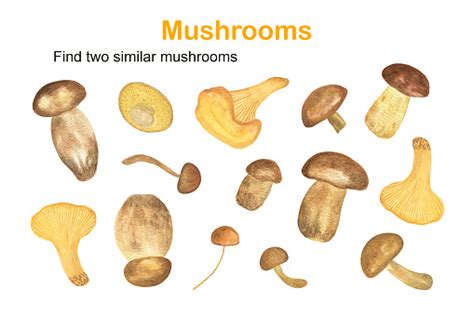 어린이를위한 두 가지 유사한 숲 버섯 교육 활동 가을 가을 퍼즐 게임 재미와 여가 시간을위한 간단한 수채화 그림 워크 시트 추수 감사절 휴일 축하 찾기 10월에 대한 스톡
