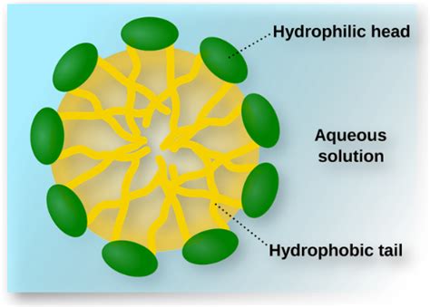 Lyophobic Multimolecular And Macromolecular Colloids W3schools