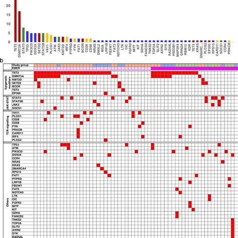 Mutational Landscape Of Nodal Cytotoxic Peripheral T Cell Lymphomas