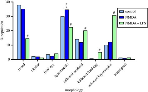 Microglia Composition In The Different Morphological Populations In