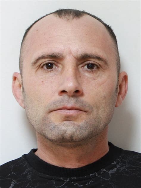 Poliția Română Vulpe Ionel Catalin