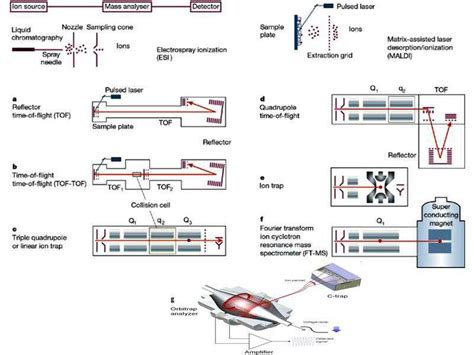 The Different Instrumental Configurations Of Mass Analyzers The Left
