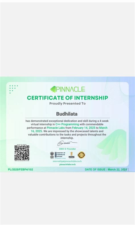 Internship C Pinnaclelabs Coding Tech Learning Growth