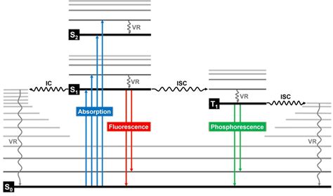 Jablonski Diagram With Possible Electronic Transitions After Absorption