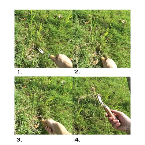 Badu Bg Джаджи Плевене Вилица за премахване Пресаждане Дървена дръжка Ръчен ръчен инструмент