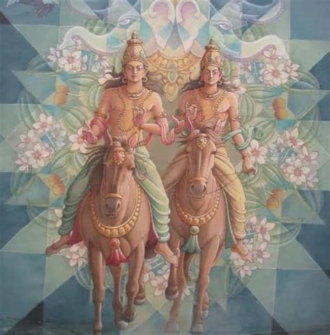 Ashvini Kumaras Roshani Chokshi Wiki Fandom