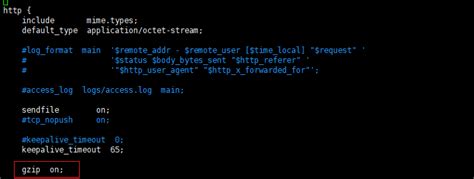 Nginx 安装 配置及常见问题及一些常见报错。proxypass Direct Not Allowd Csdn博客