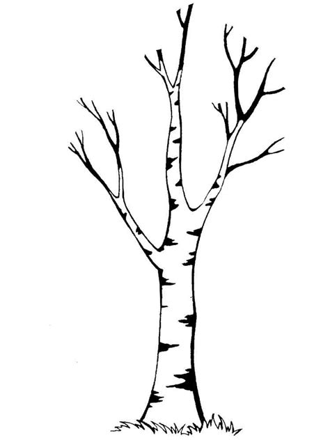 Раскраска осеннее дерево без листьев распечатать