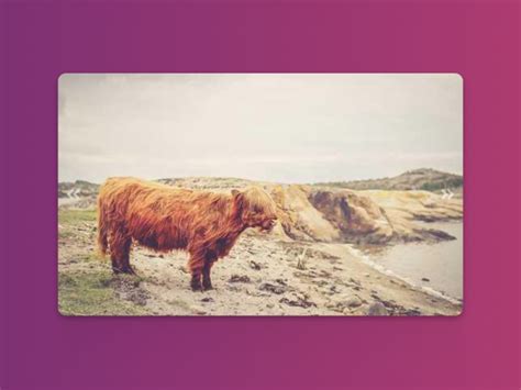 Lightweight Image Slider In Vanilla JS CodeHim