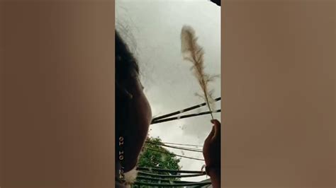 আর মাত্র কয়েকটা দিন বাকি মা আসতে🙏🙏 Youtube