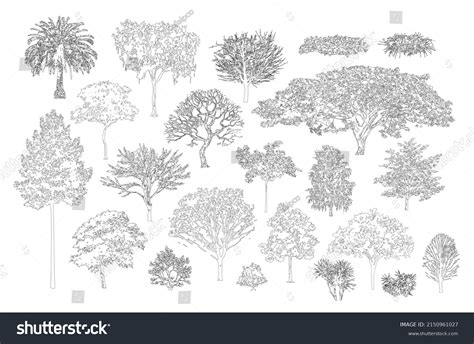 825 Elevation Tree Stock Vectors Images And Vector Art Shutterstock