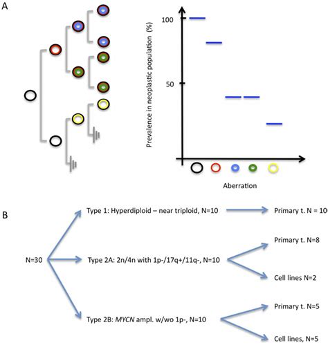 Basic Principles And Material For Survey Of Diversity By SNP Array Download Scientific Diagram