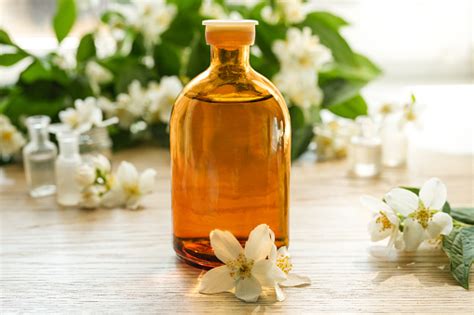 흰색 바탕에 필수 재스민 오일이 있는 작은 유리병 재스민 꽃이 닫힙니다 재스민 추출물의 팅크 향수를위한 향기로운 꽃입니다 건강