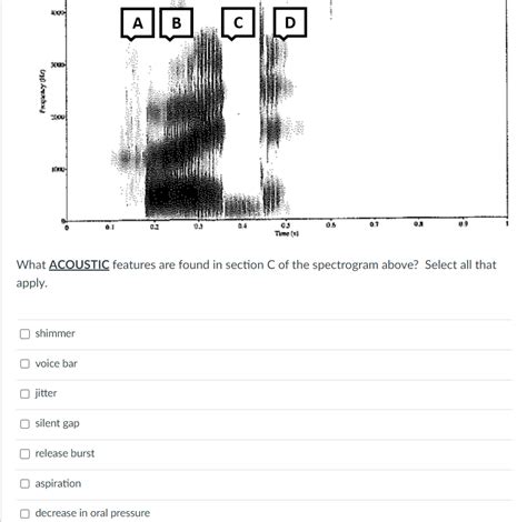 Solved What Acoustic Features Are Found In Section C Of The