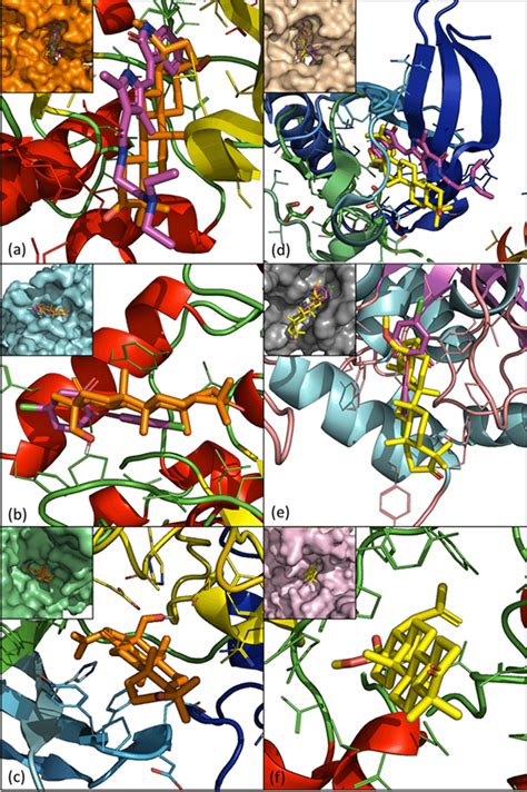 Pymol Visualization Of Pdb Id 3hzt Cdpk3 2o50 Enr And 3byv
