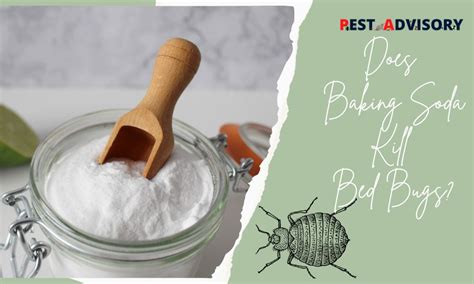 Does Baking Soda Kill Bed Bugs