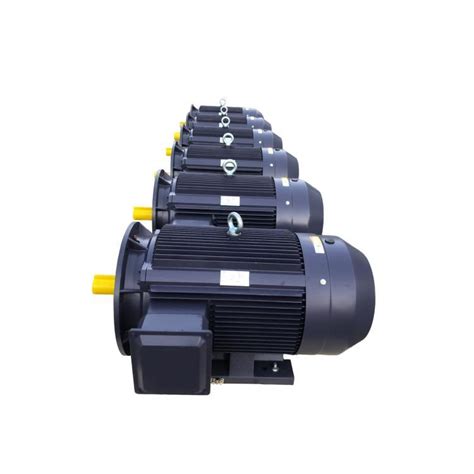 High Efficiency Three Phase Squirrel Cage Asynchronous Induction Electric Motor Squirrel Cage