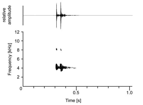 Oscillogram And Sound Spectrogram Of An Advertisement Call Of Download Scientific Diagram