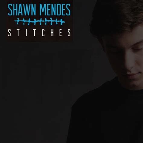 Shawn Mendes Stitches Single Reviews Album Of The Year
