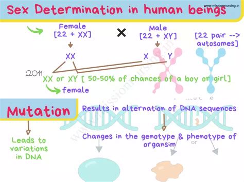 Mendelian Genetics Full Neet Notes Mission Nursing