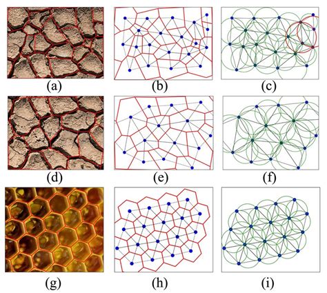 Checking For Voronoi Like Patterns Real Mud Cracks A Case I The Download Scientific