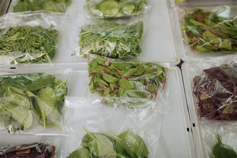 다양한 채소 테이블 위의 비닐 봉지에 누워있는 다양한 종류의 멋진 채소의 상위 뷰 사진 Unsplash의 자연 이미지