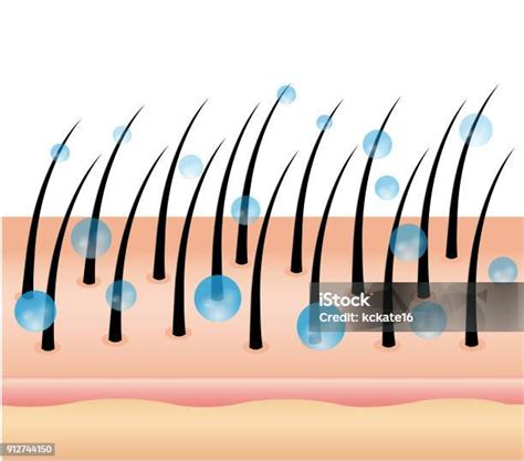 벡터 일러스트 레이 션 활성 성분 치료의 머리카락과 두 피에 깊은 두피에 대한 스톡 벡터 아트 및 기타 이미지 두피 건강한 생활방식 건조한 Istock